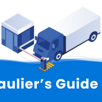 SCDP : Simplified Customs Declaration Process | CustomsLink®